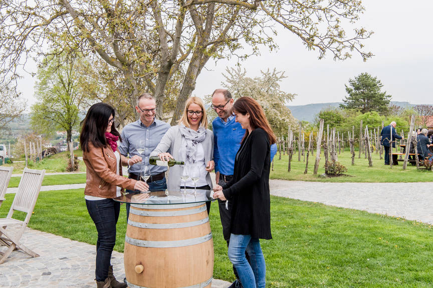 Weinbaugebiet Kamptal - Donau Niederösterreich