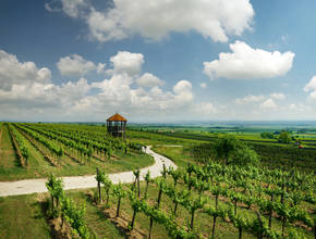 Urlaub in der Region Wagram