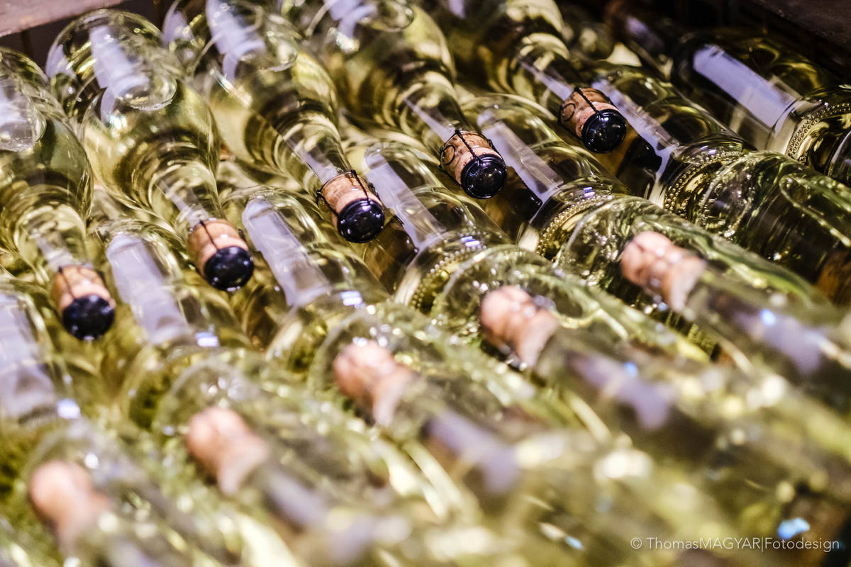Sparkling wine cellar of Karl Inführ - Kamptal-Wagram-Tullner Donauraum