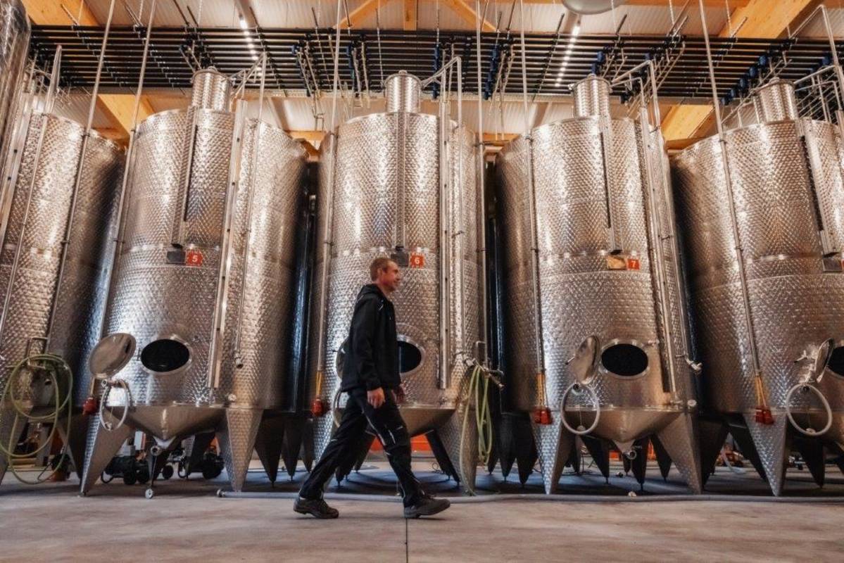 Obsthof & Weingut Altenriederer - Donau Niederösterreich