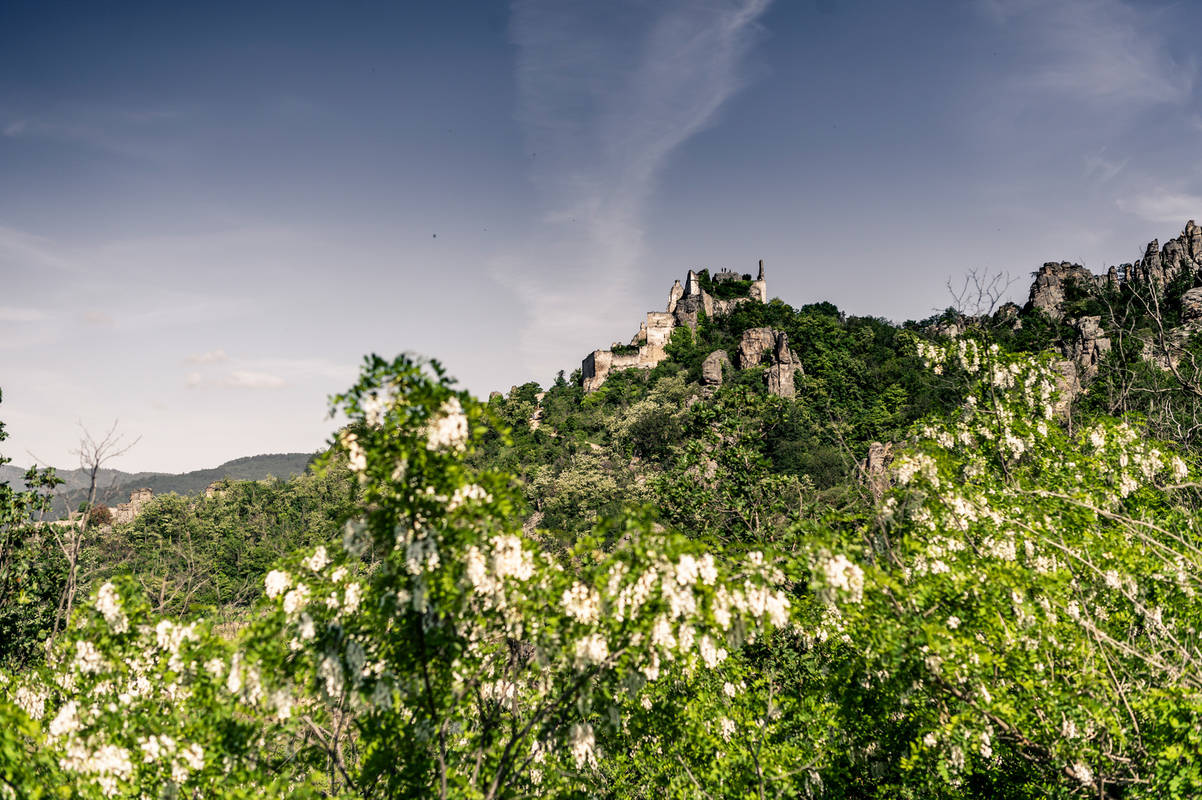 The ruins of Dürnstein castle - Wachau Nibelungengau Kremstal