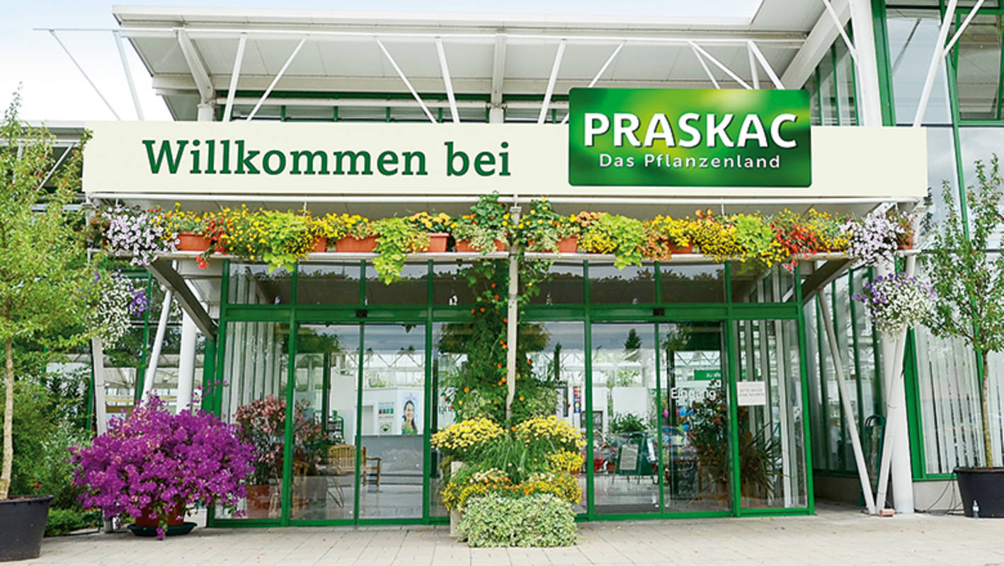Praskac - Das Pflanzenland - Wagram
