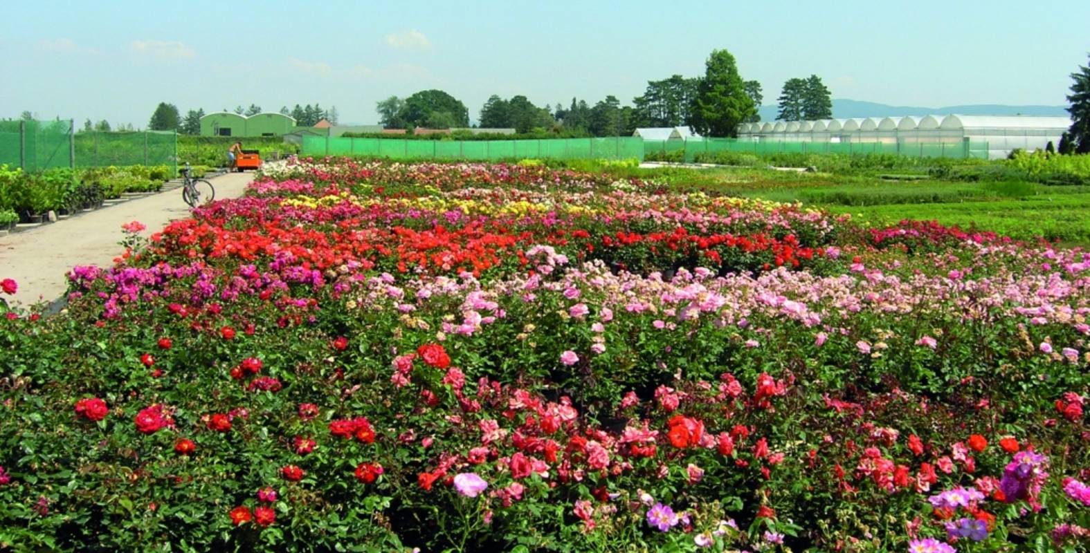 Praskac das Pflanzenland - Kamptal-Wagram-Tullner Donauraum