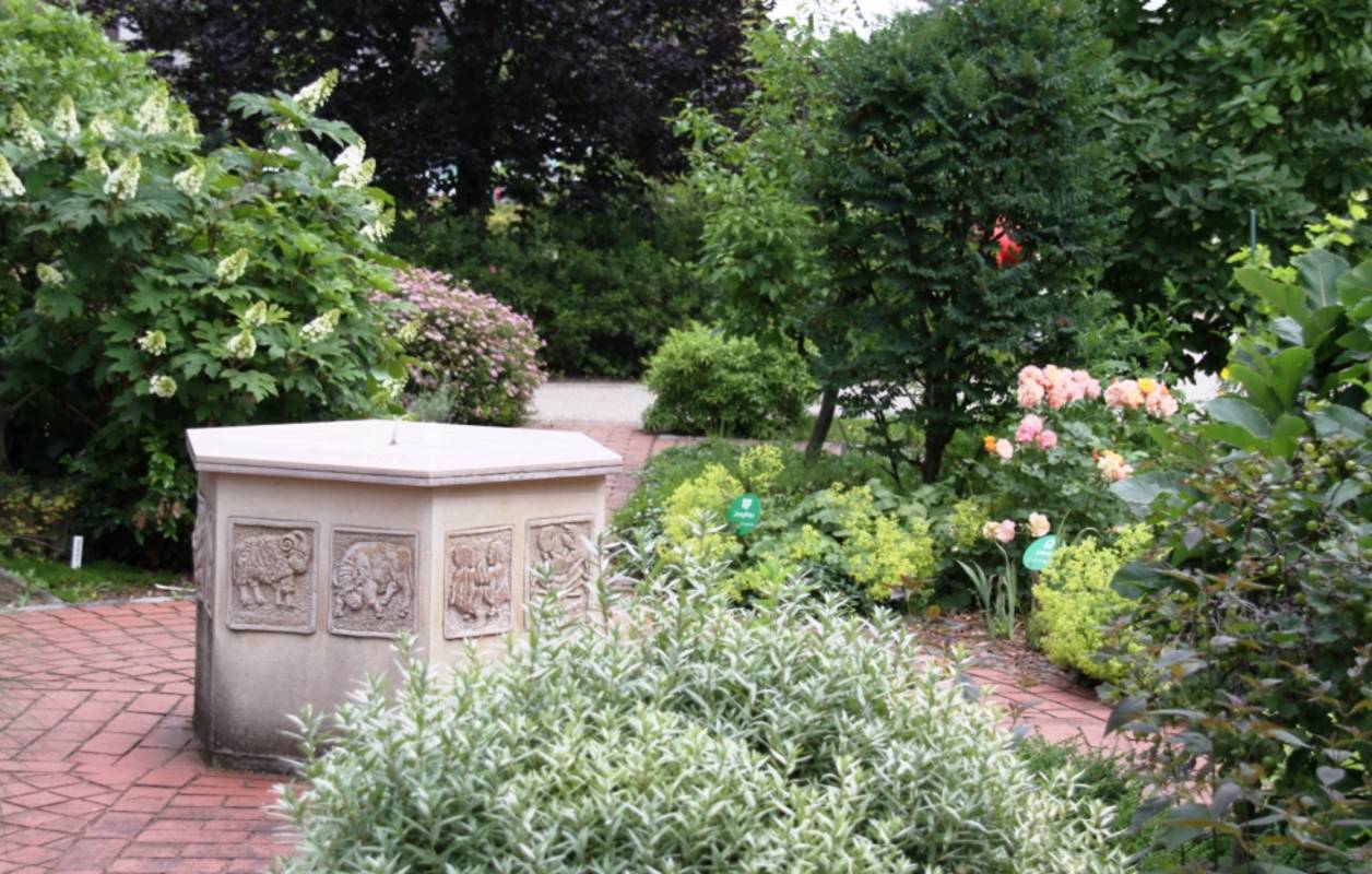 Praskac das Pflanzenland - Wagram