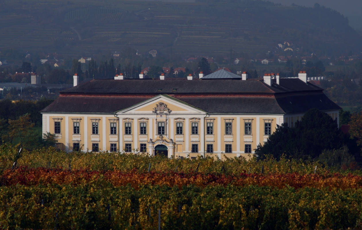 Weingut Schloss Gobelsburg - Kamptal-Wagram-Tullner Donauraum