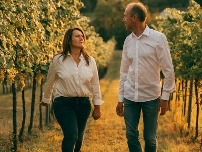 Weingut Haslinger - Donau Niederösterreich