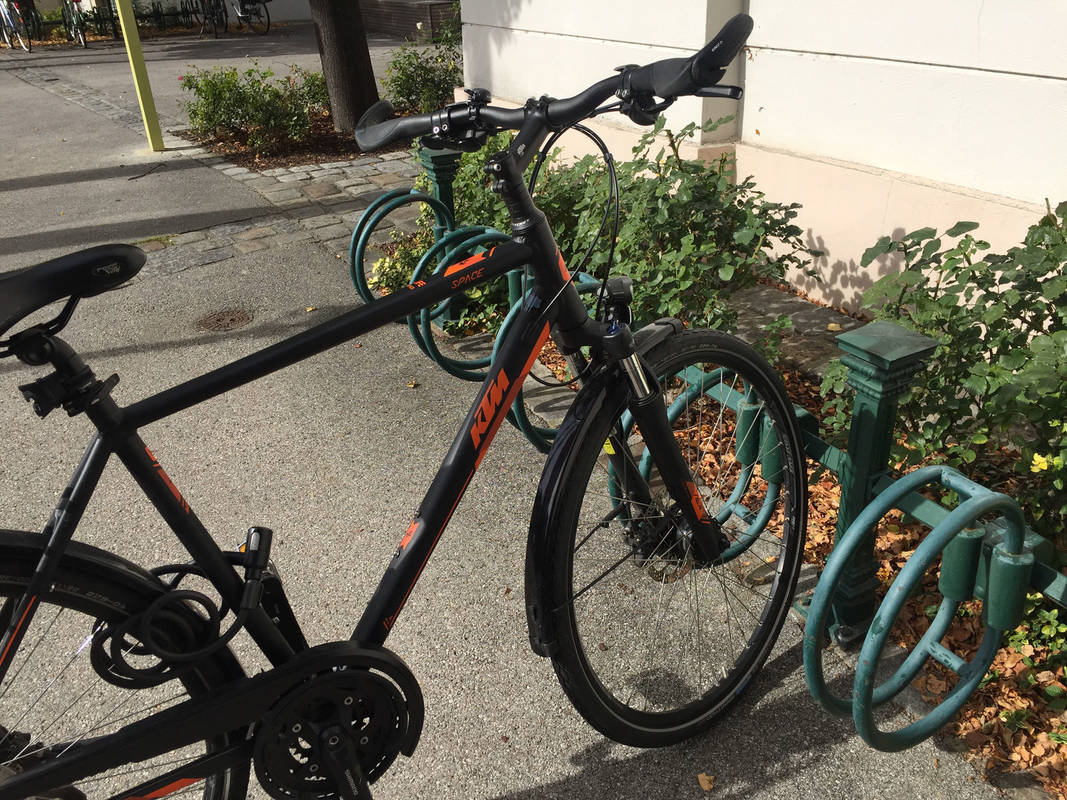 Wolf´s Bikeklinik - Donau Niederösterreich