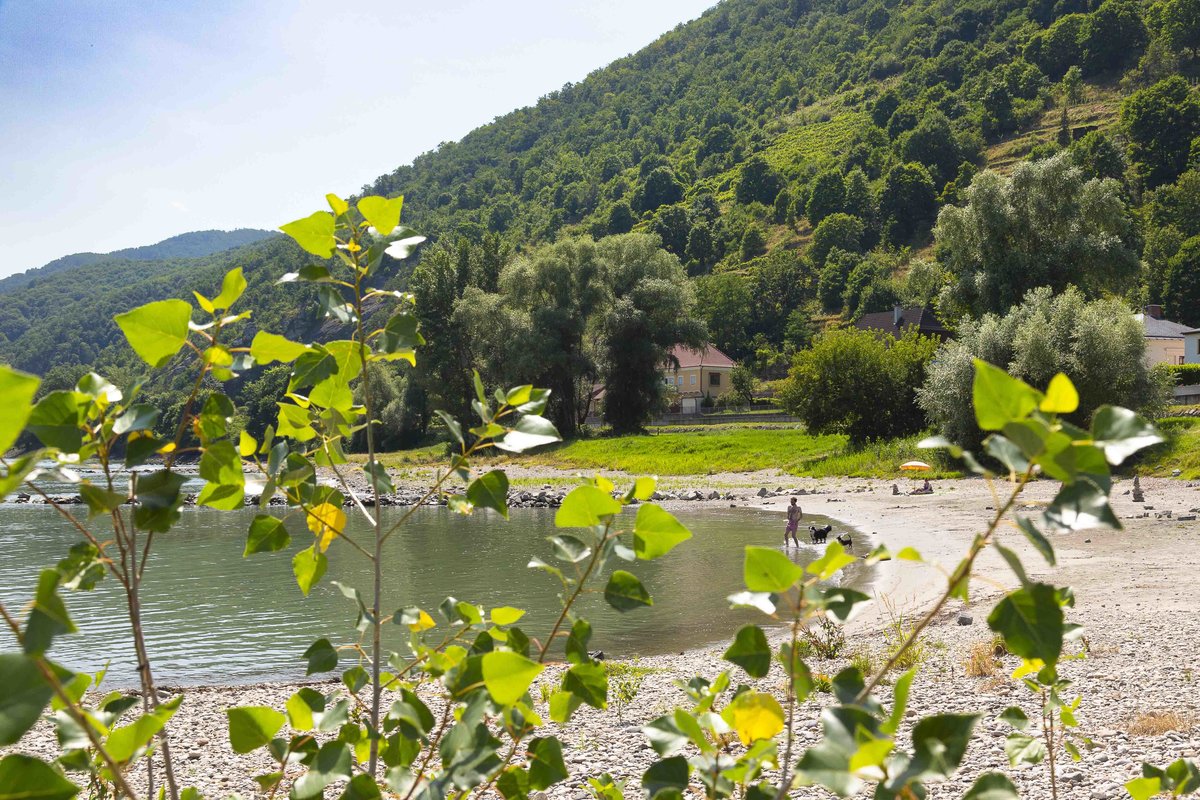 Donaustrand Spitz - Wachau Nibelungengau Kremstal